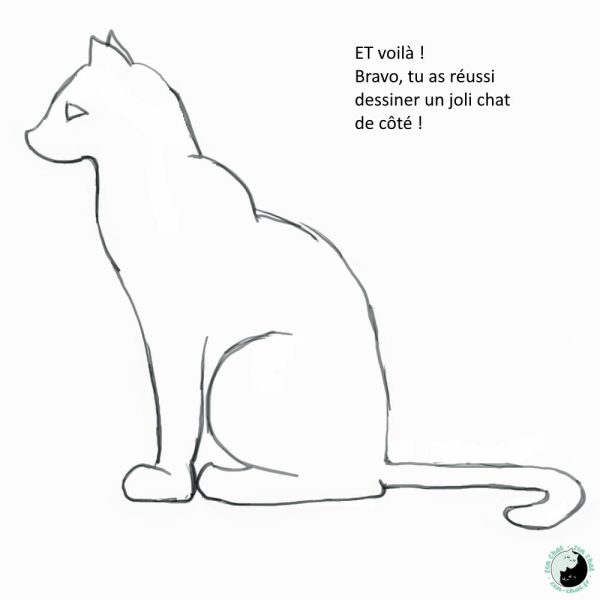 Dessin chat de profil facile en 7 étapes